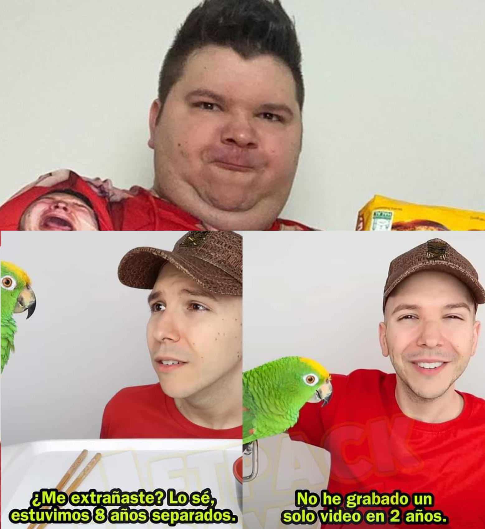 NIKOCADO AVOCADO REAPARECE CON 115 KILOS MENOS: DETALLES DE SU ...