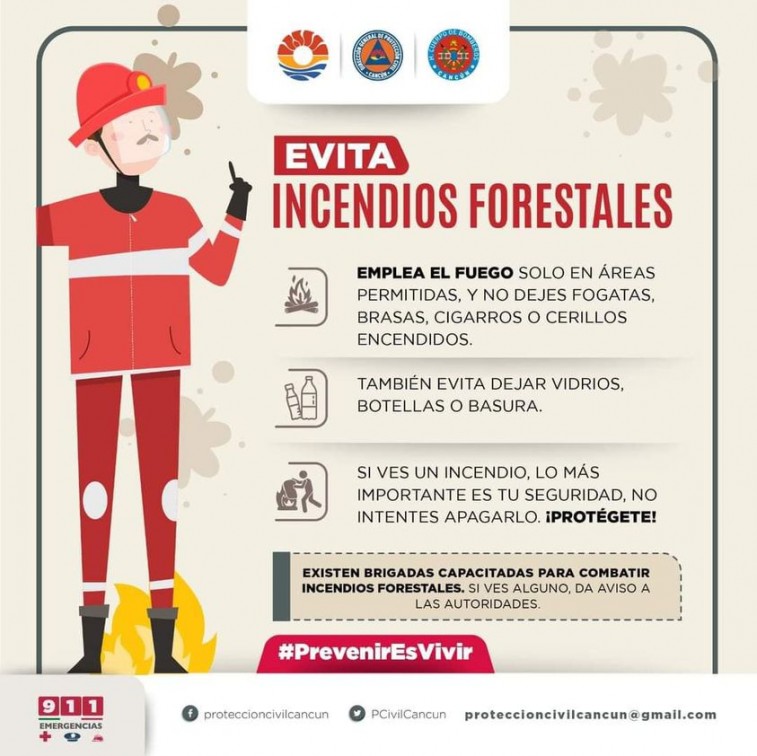 RECOMENDACIONES PARA PREVENIR INCENDIOS FORESTALES - BM Noticias