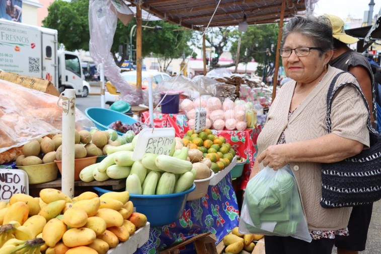 Recomiendan tener un presupuesto claro y escrito para una sana economía ...